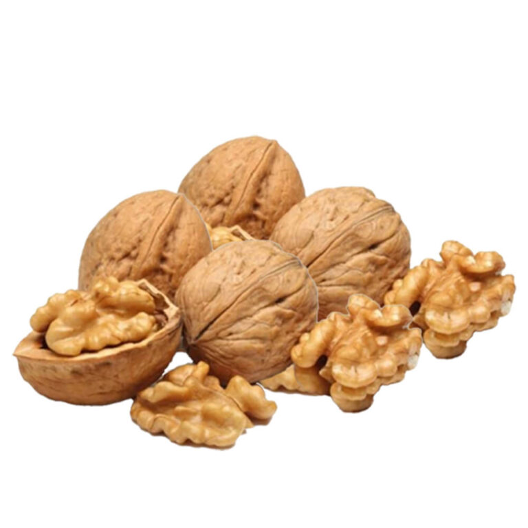 Walnut China - Food Service Distributor Middle East