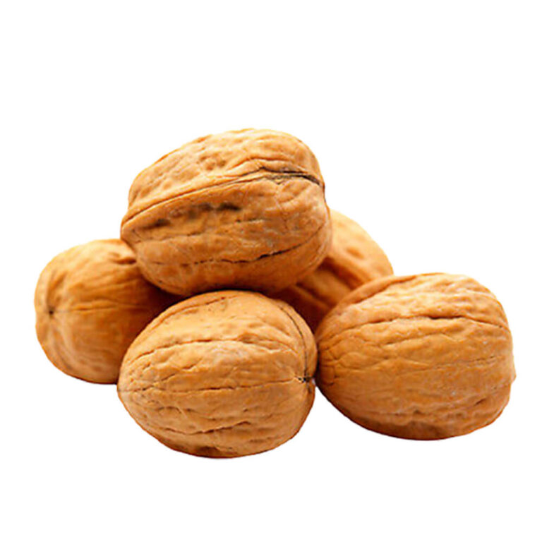 Walnut in Shell 10kg - Nutritious Walnut Wholesale