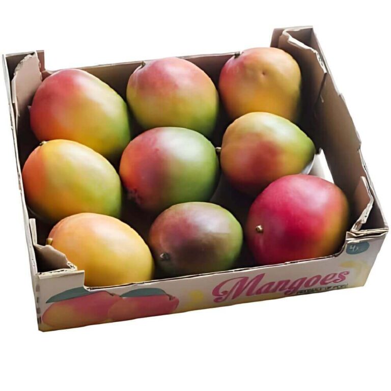 Mango Tommy Egypt 3kg - Mango Wholesale