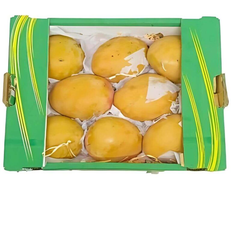 Natural Mango Yasmina Egypt - Order Online Mangoes
